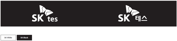 SK tes corporate identity guidelines