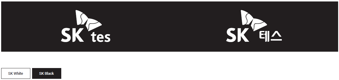 SK tes corporate identity guidelines